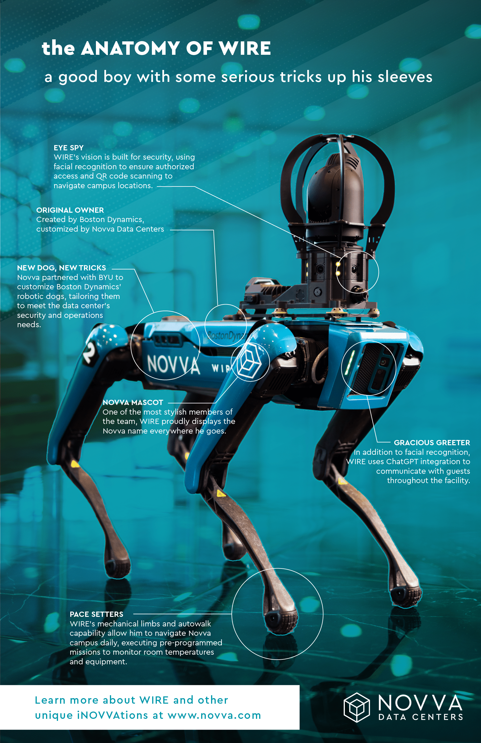 Robotic Dogs Powered by Generative AI: Novva's Advanced Security ...